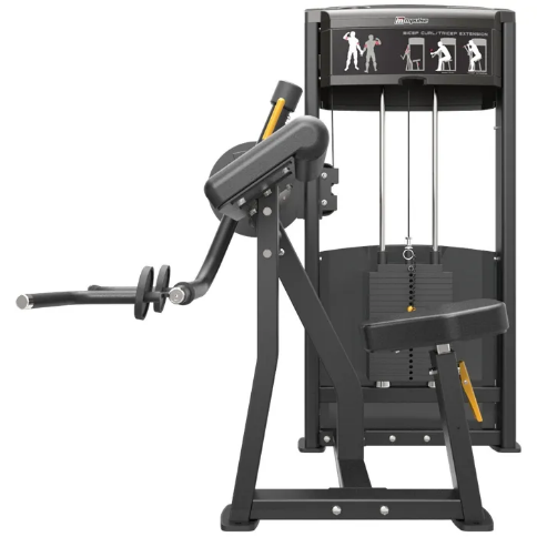 Best Home Workouts for Biceps: Build Strength with Precision and Ease ...